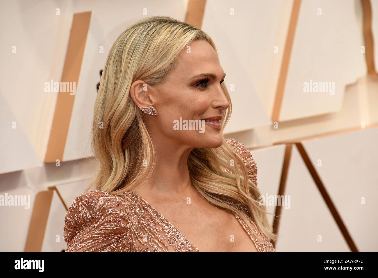 Molly Sims walking on the red carpet at the 92nd Annual Academy Awards ...