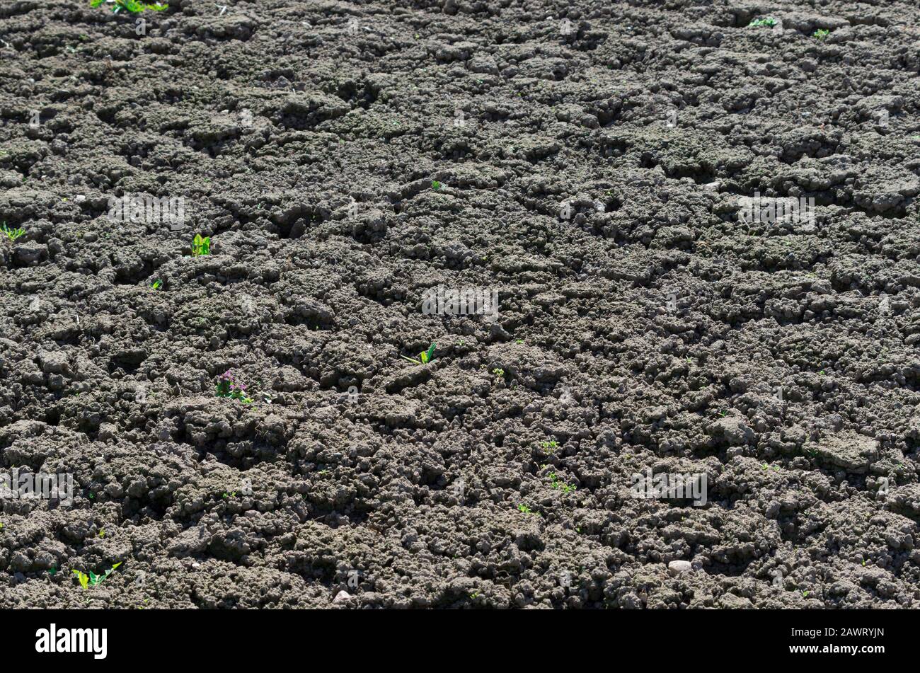 Ploughed soil texture hi-res stock photography and images - Alamy