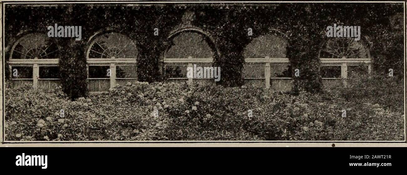 Louise porter hi-res stock photography and images - Alamy