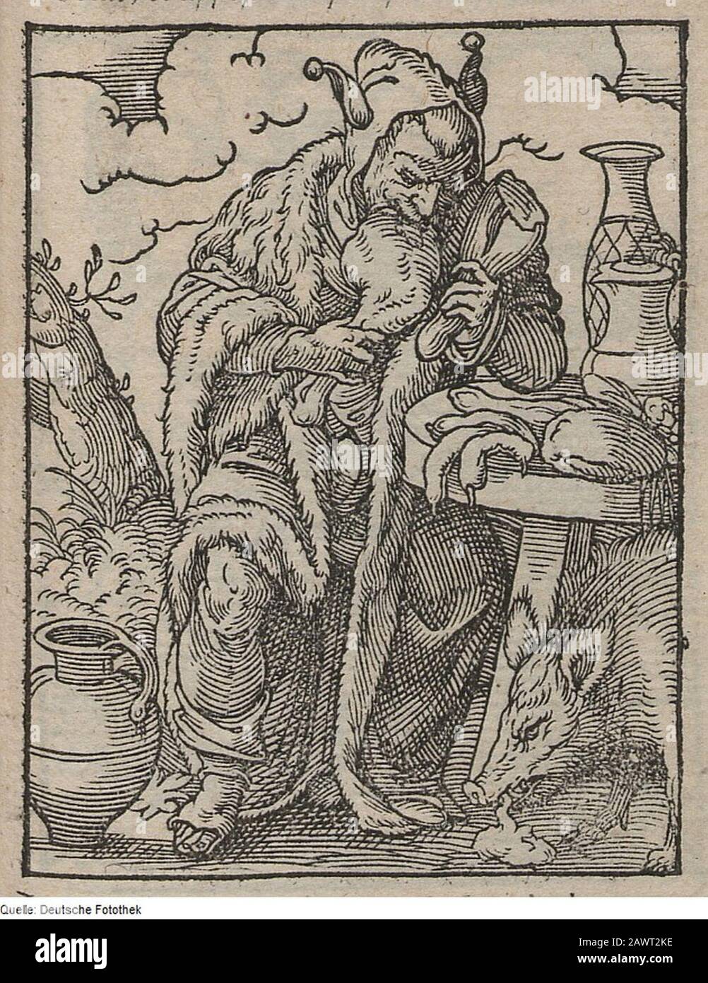 Narr hi-res stock photography and images - Alamy