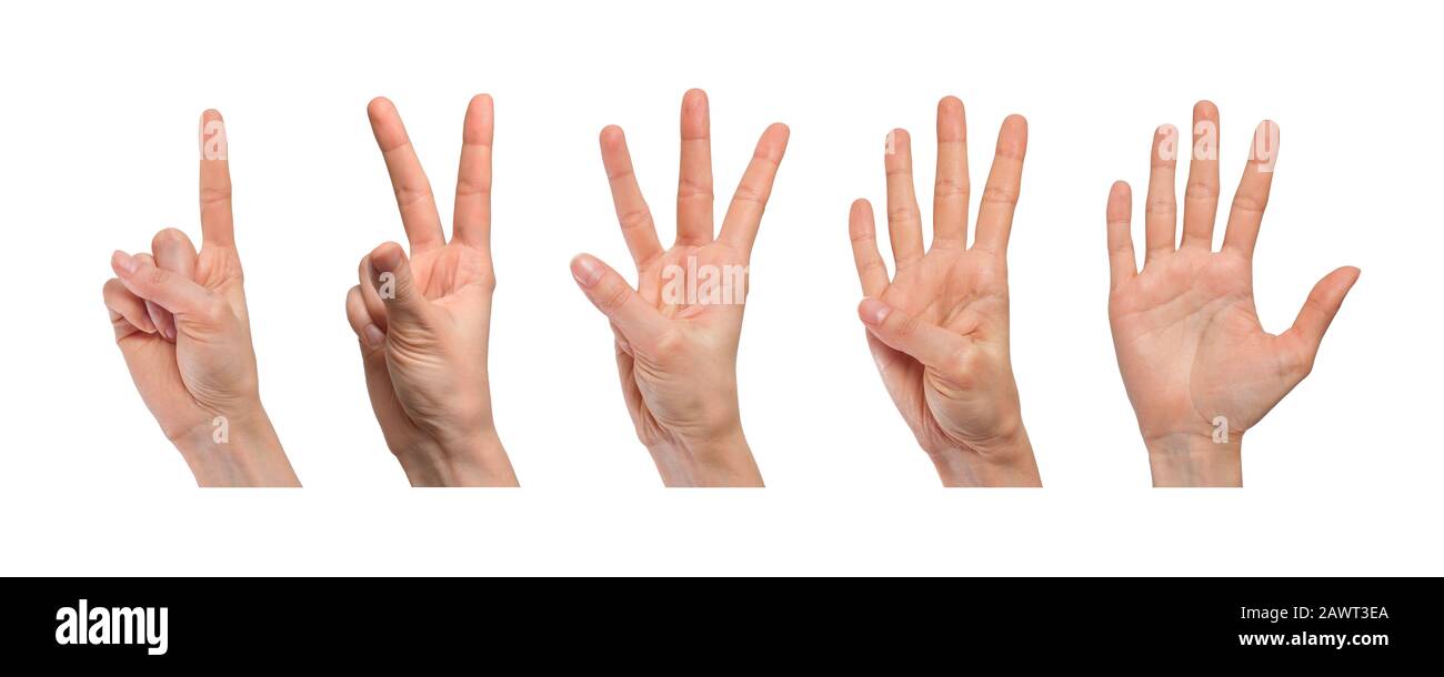 Female hand showing set of popular gestures that characterize learning ...