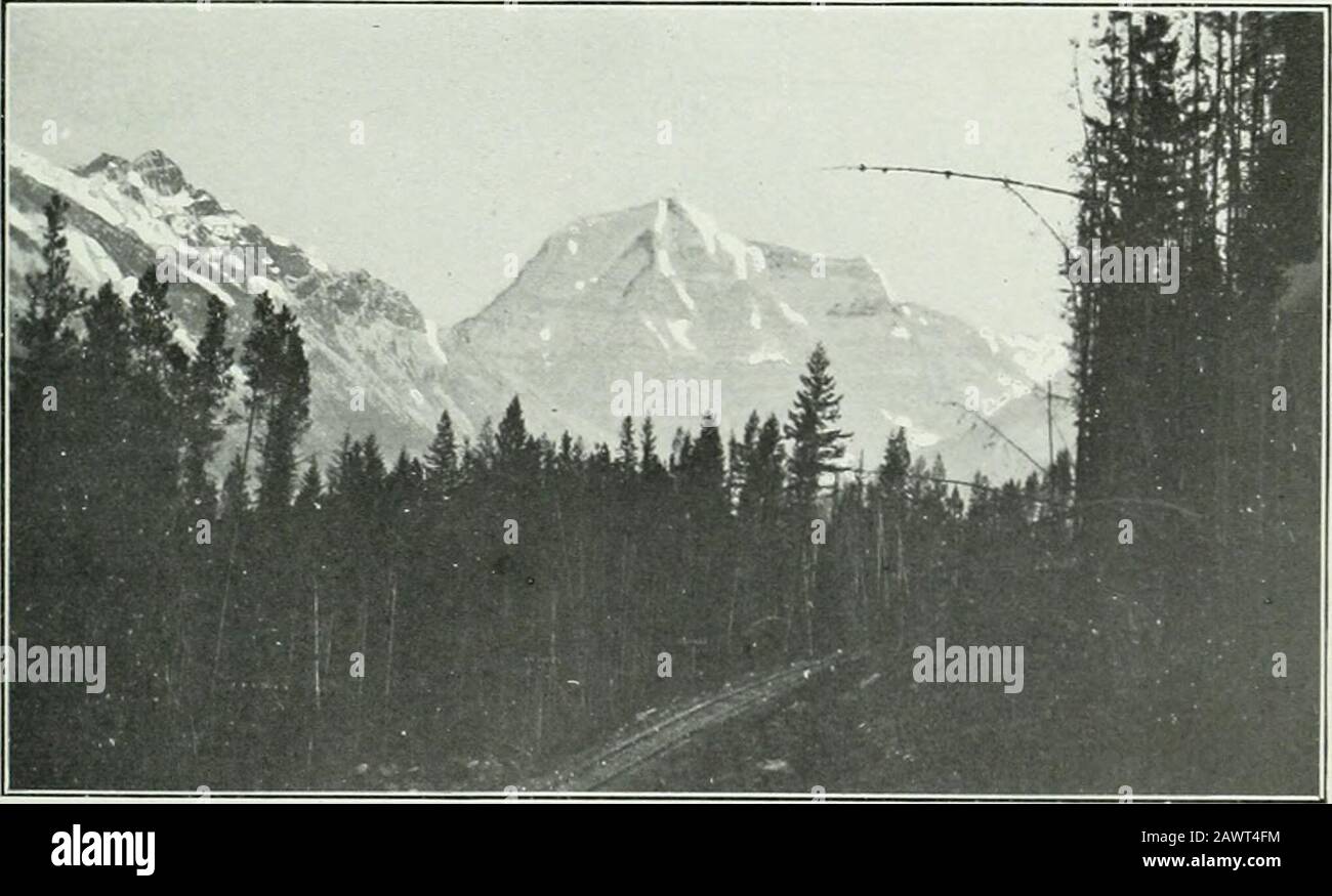 Sessional papers of the Dominion of Canada 1914 . Vermihoi Lake and Mt ...