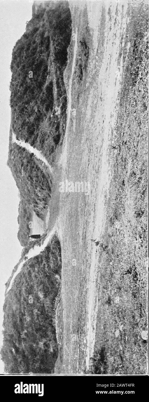 62 3 4 Black and White Stock Photos & Images - Alamy