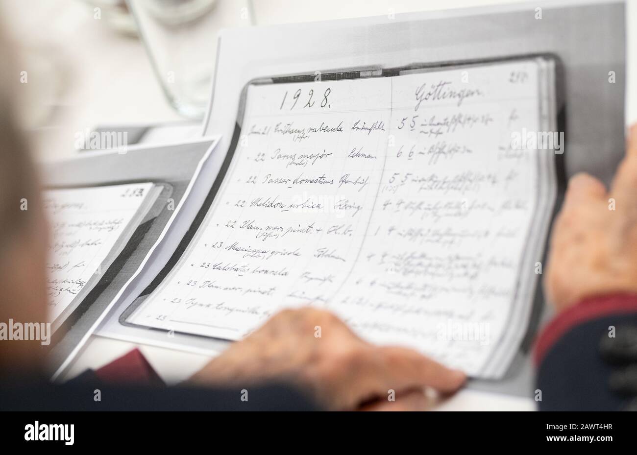 Old german handwriting hi-res stock photography and images - Alamy