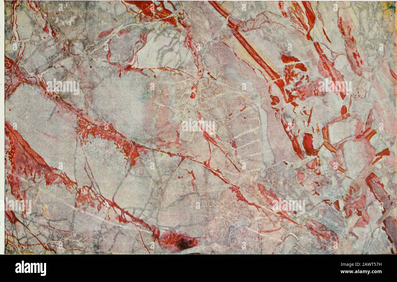 Building and ornamental stones of Australia . FERNBROOK MARBLE, NSW ...