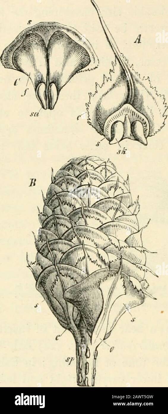 C s a 323 hi-res stock photography and images - Alamy