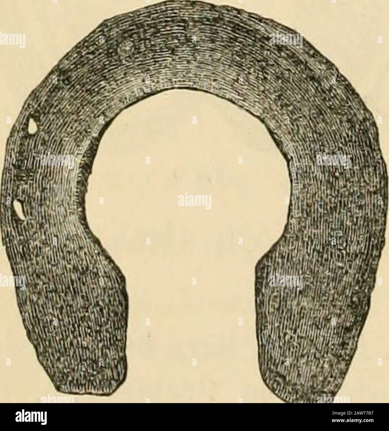 Dunfermline horse hi-res stock photography and images - Alamy