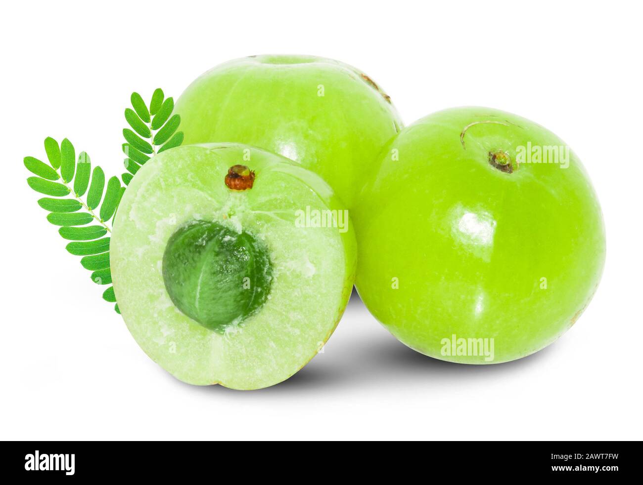 Amla green fruits ,Phyllanthus emblica isolated on white background ...