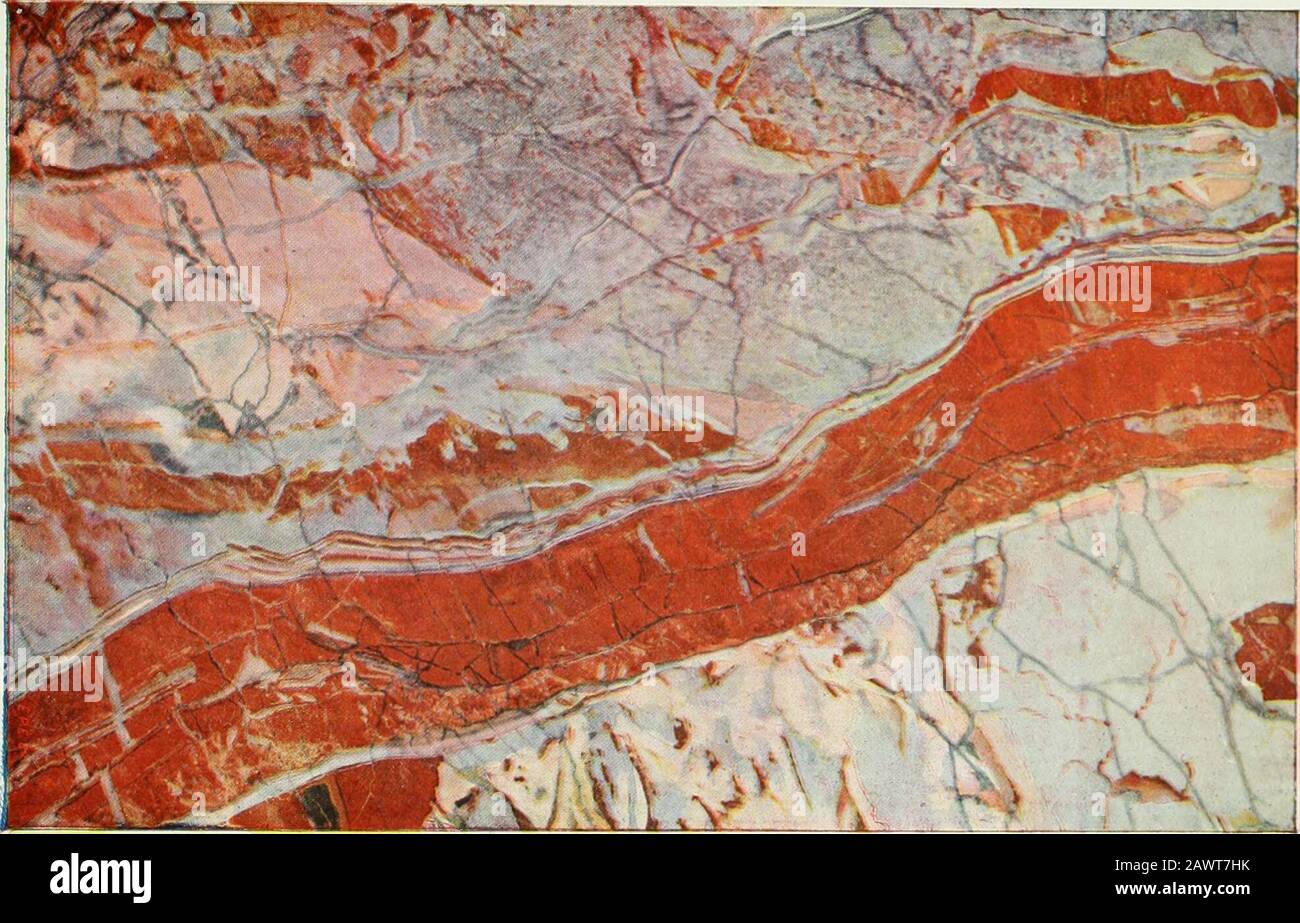 Building and ornamental stones of Australia . GREEN CALEULA MARBLE, NSW ...