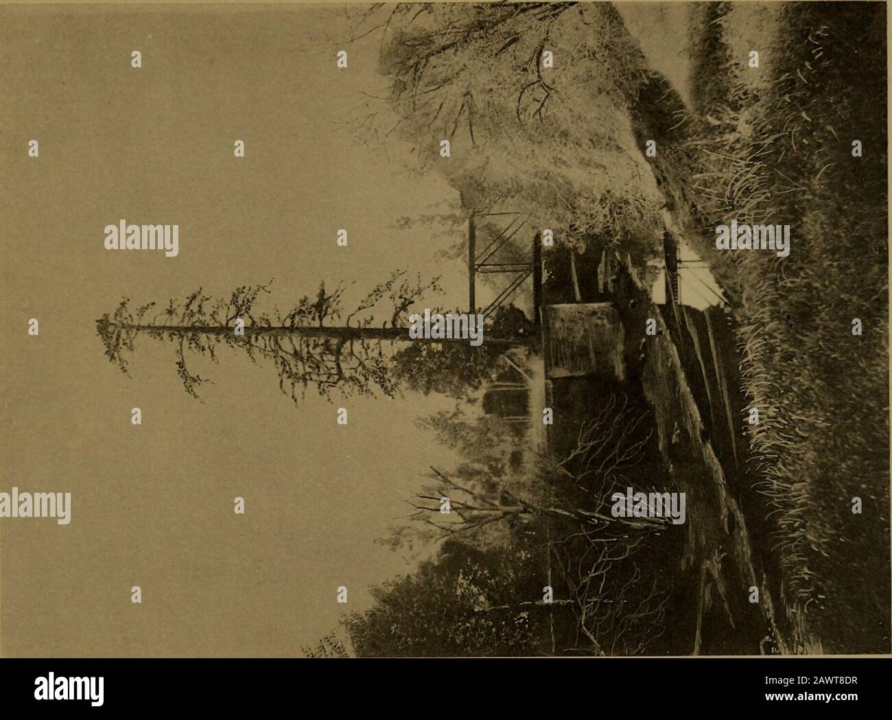 Leland stanford junior hi-res stock photography and images - Alamy