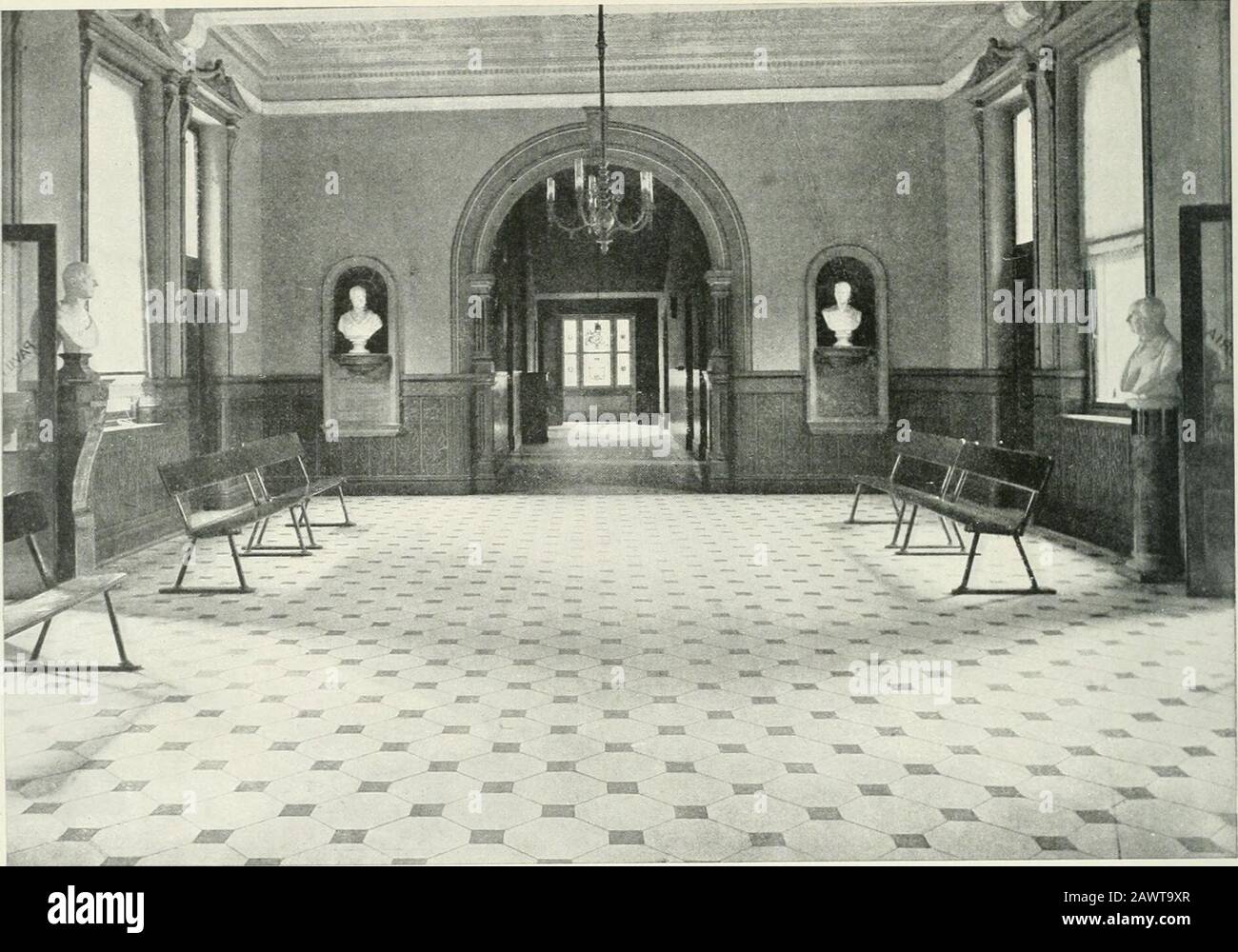 Building and ornamental stones of Australia . 77. Virz =t) CALOOLA ...