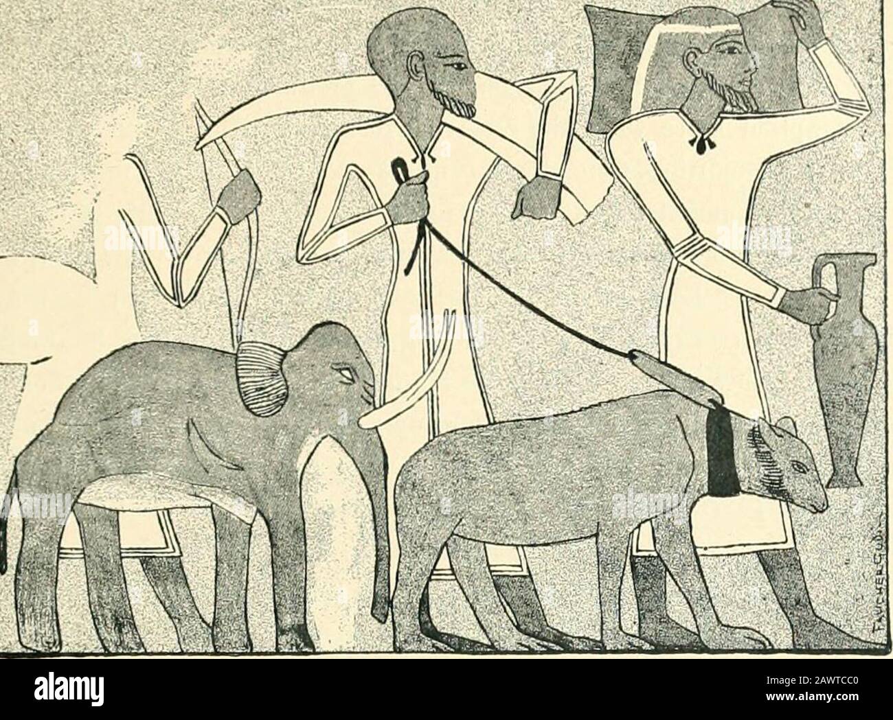 Papyrus names hi-res stock photography and images - Alamy