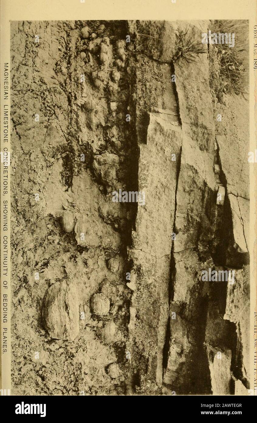 Geological_society hi-res stock photography and images - Alamy