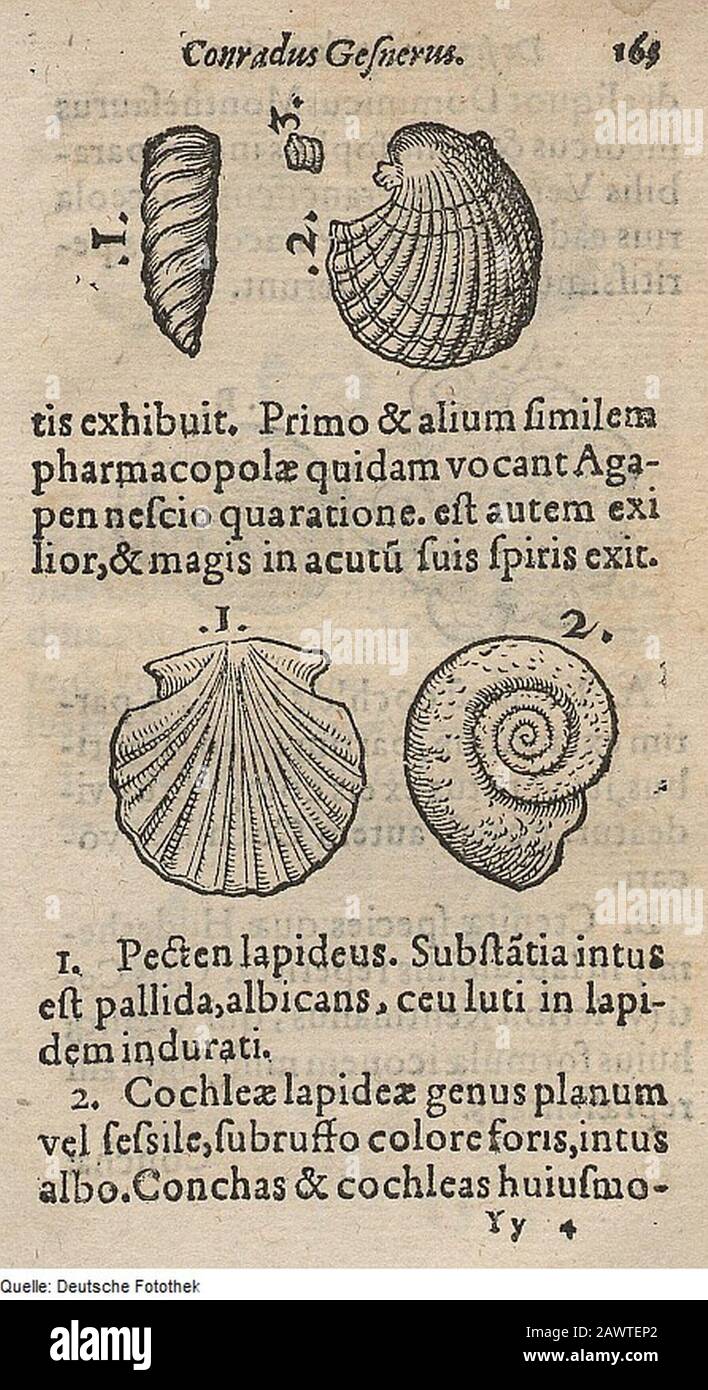 Meeresbiologie hi-res stock photography and images - Alamy