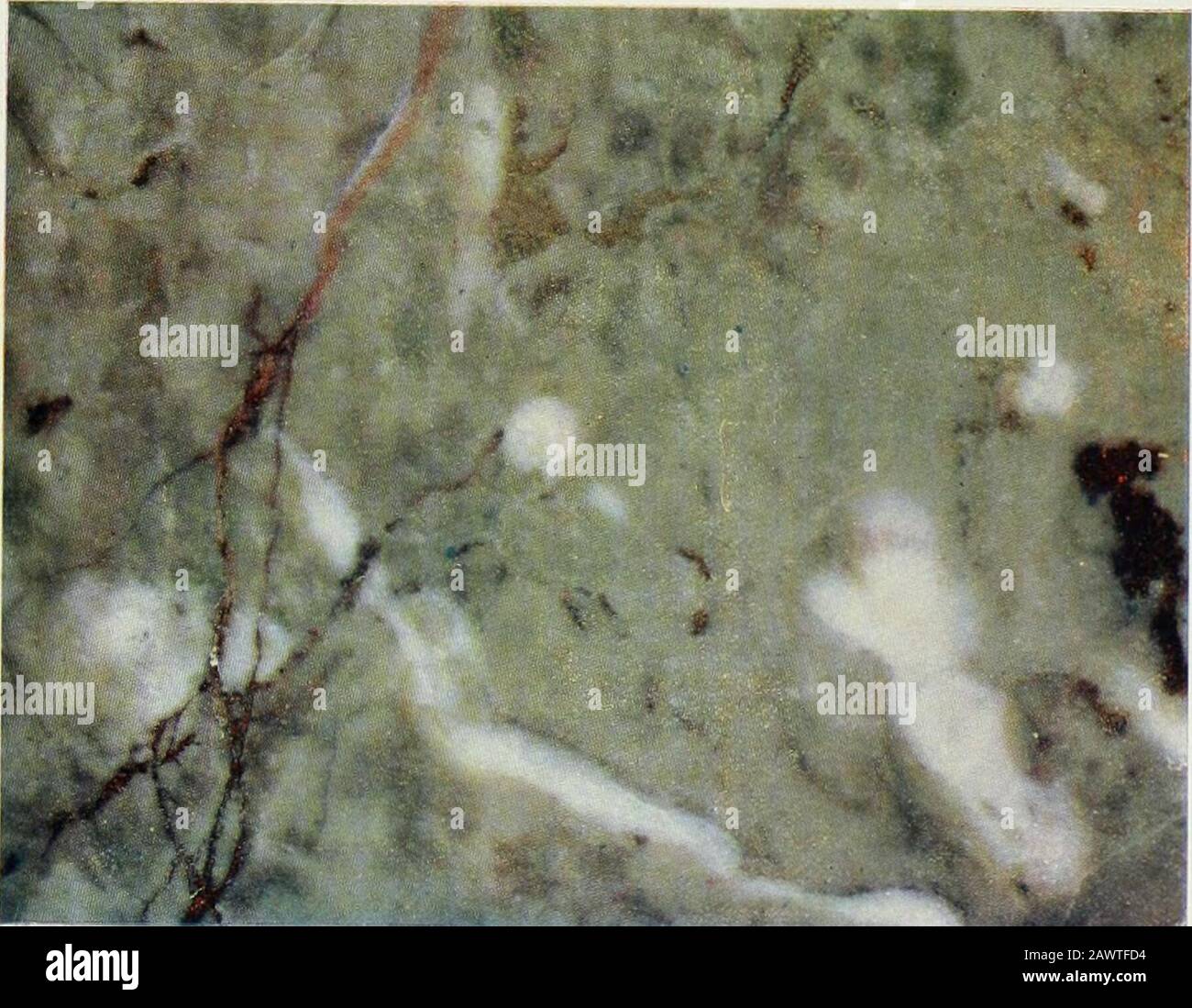 Lime marble stones hi-res stock photography and images - Alamy