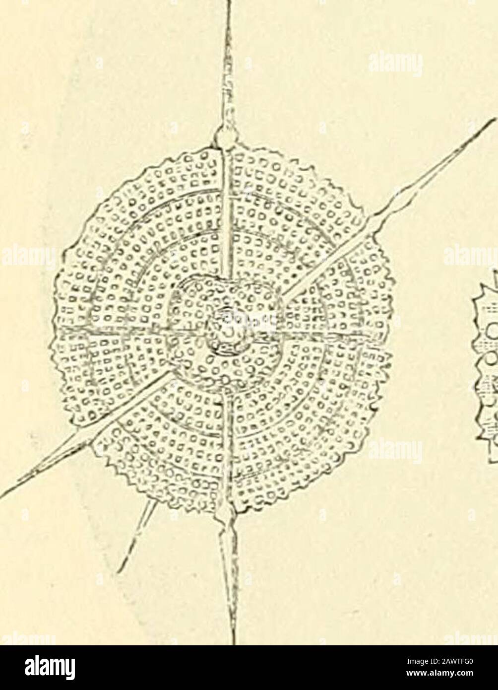 Friable sandstone hi-res stock photography and images - Alamy