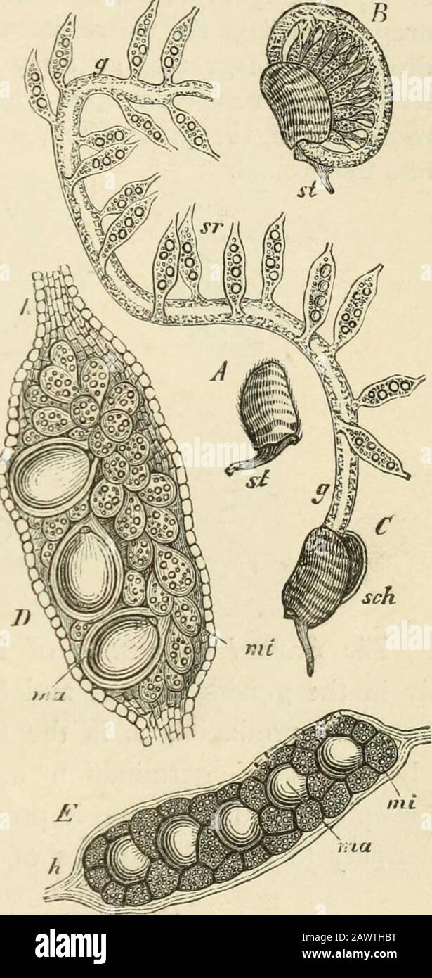 Expan sion hi-res stock photography and images - Alamy