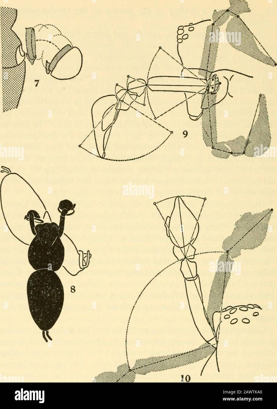 Contraction inflation hi-res stock photography and images - Alamy