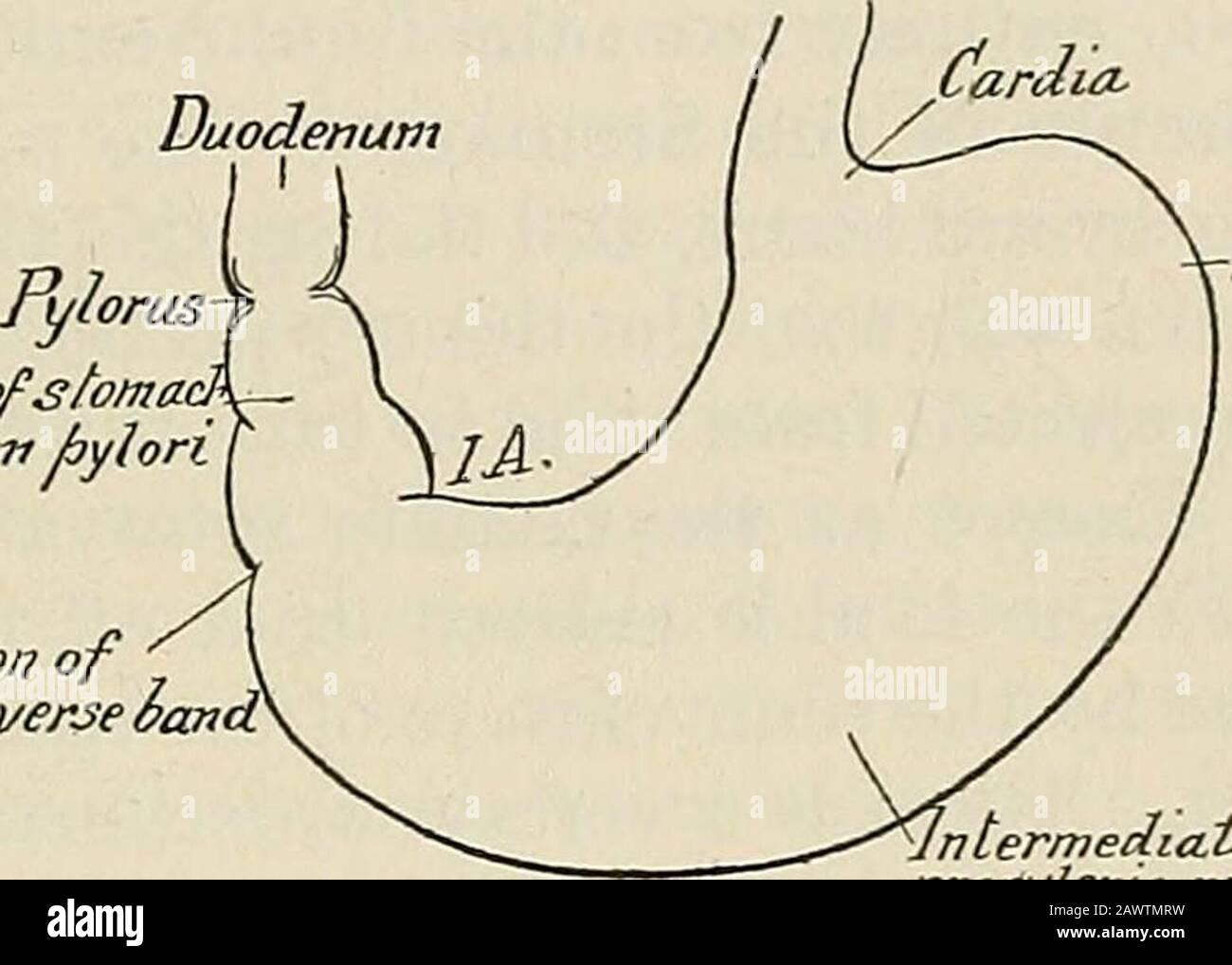 Abrupt movements hi-res stock photography and images - Alamy