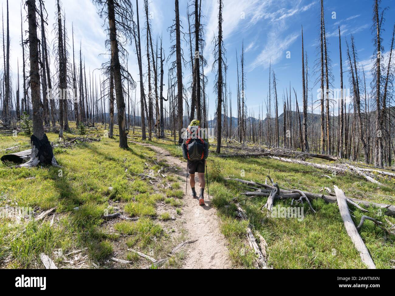 Cdt continental divide trail path hi-res stock photography and images ...