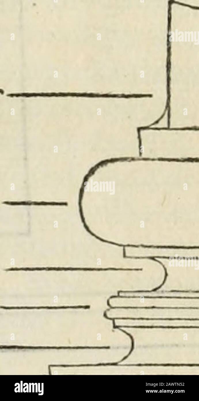 Zoe cho hi-res stock photography and images - Alamy