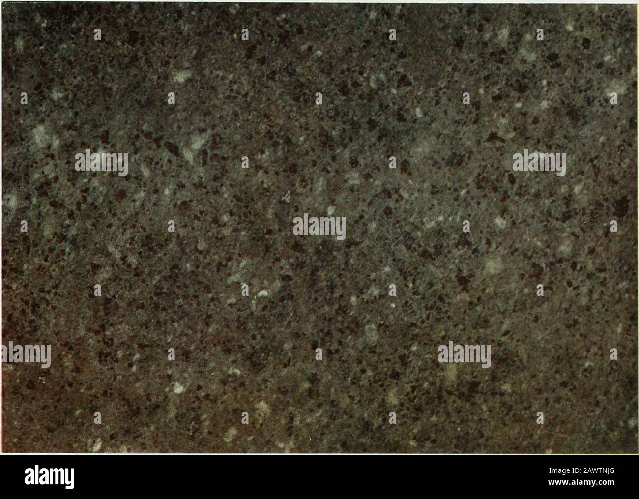 Building and ornamental stones of Australia . 58. GOULBURN GREEN ...