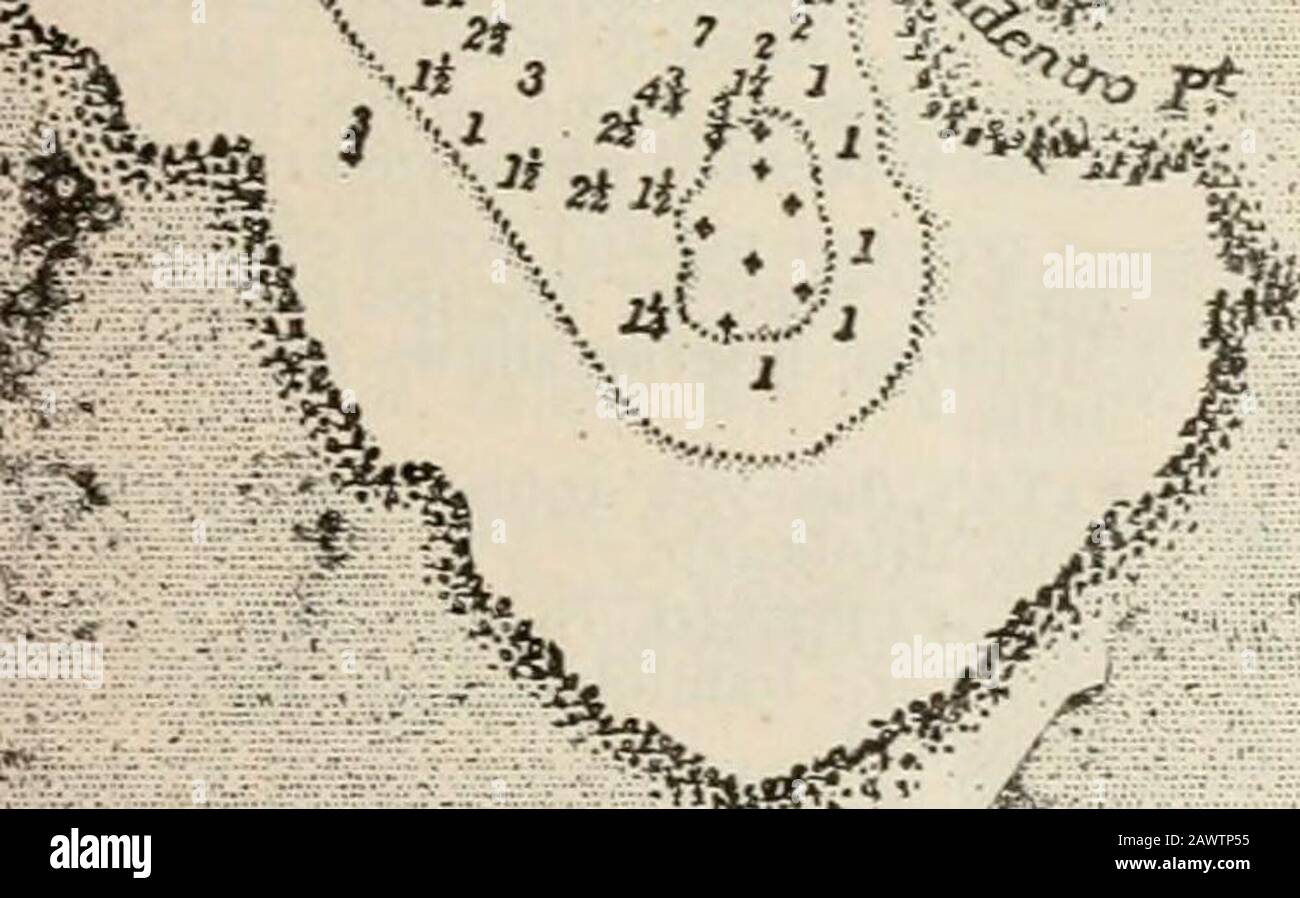 Feet charts hi-res stock photography and images - Alamy