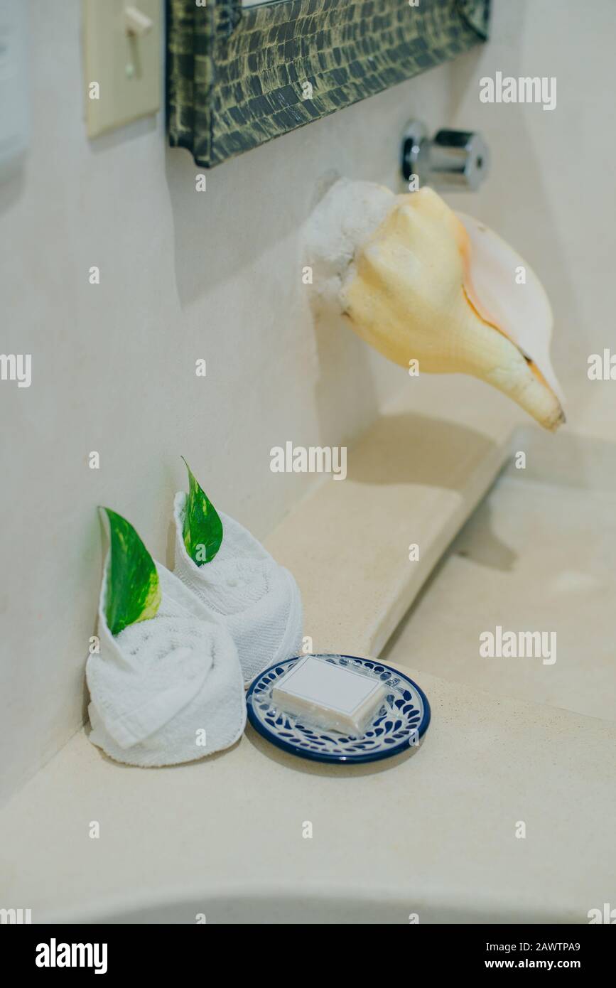 Seashell soup hi-res stock photography and images - Alamy