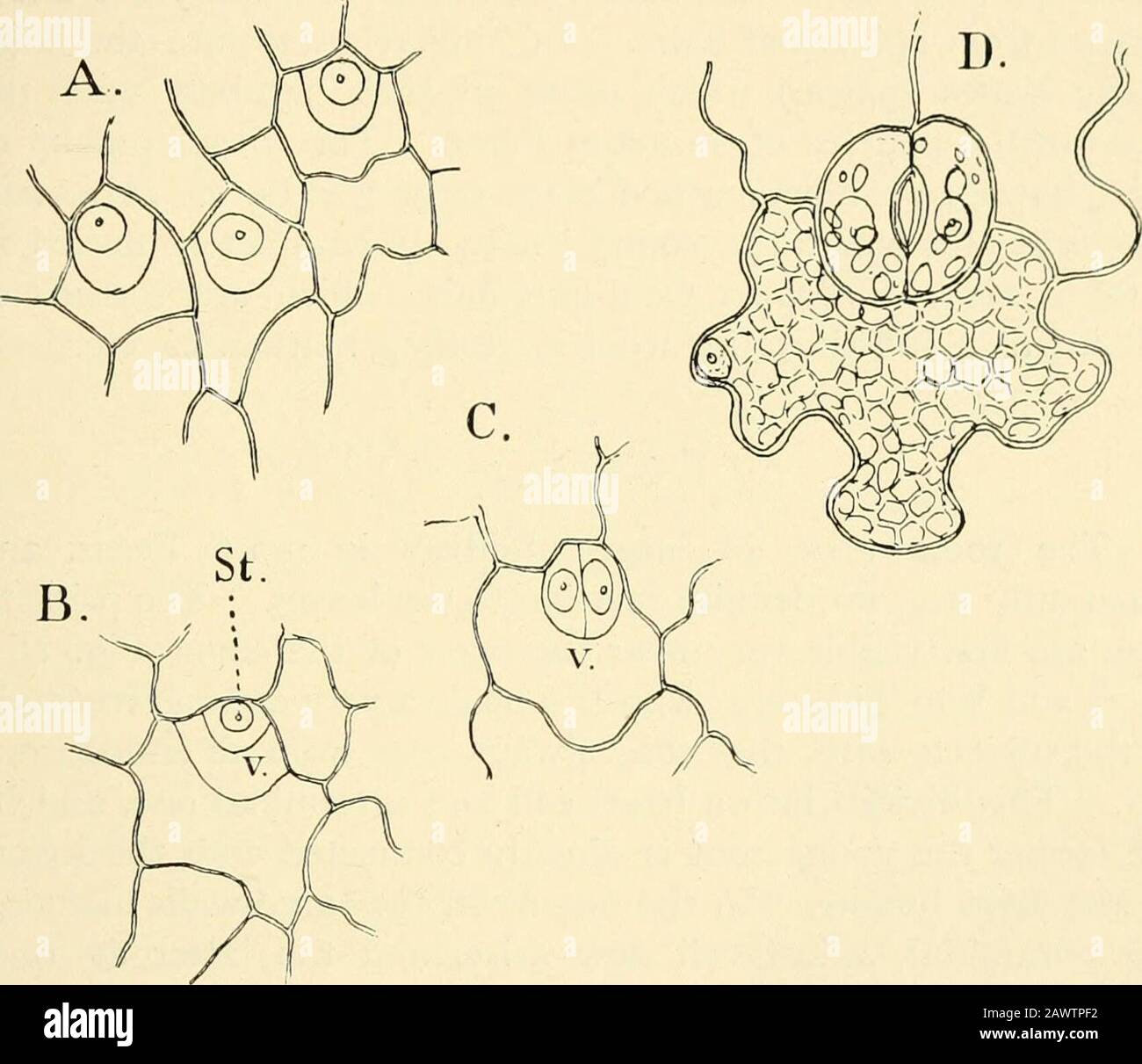 Sinuous forms hi-res stock photography and images - Alamy