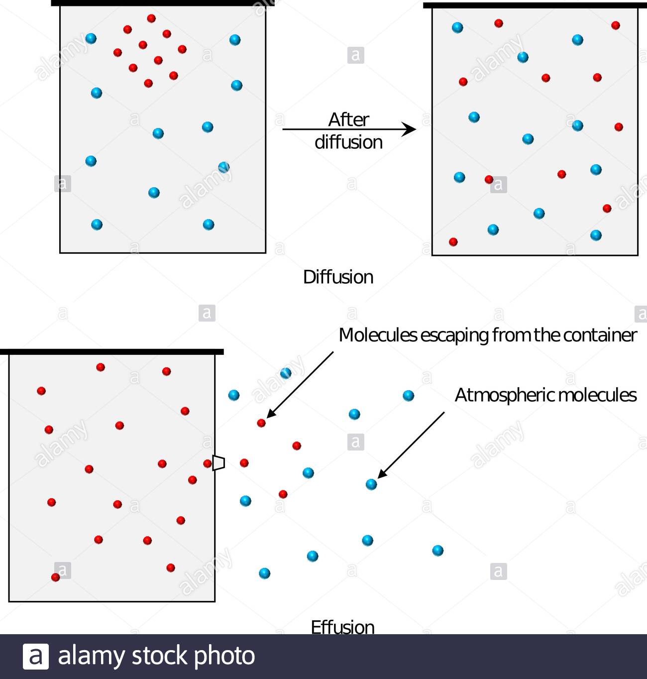 Diffusion Stock Photos & Diffusion Stock Images - Alamy
