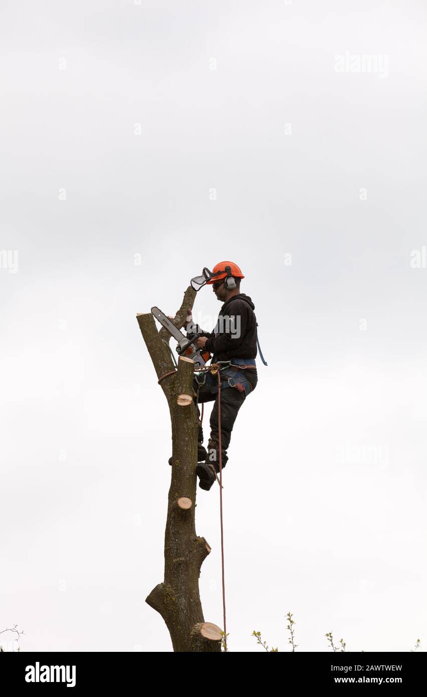 Tree surgery tools hi-res stock photography and images - Alamy