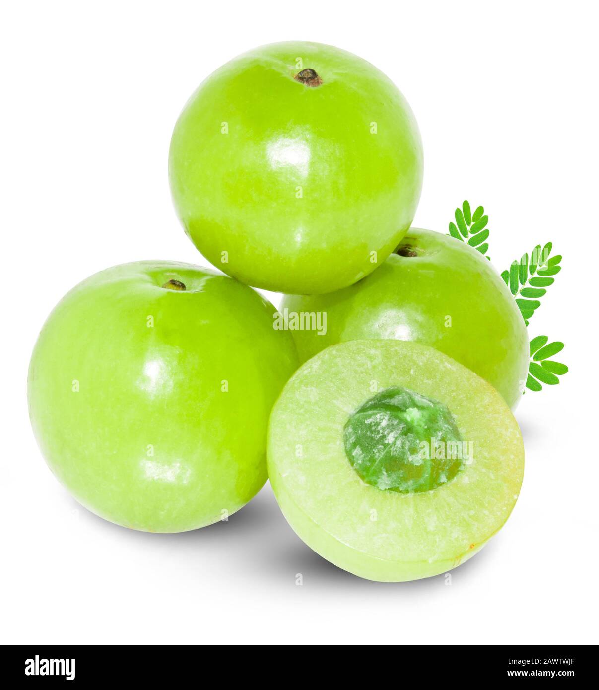 Amla green fruits ,Phyllanthus emblica isolated on white background ...