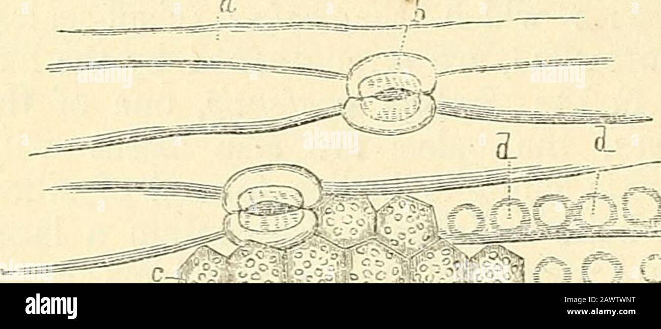 Booksubjectmicroscopes hi-res stock photography and images - Alamy
