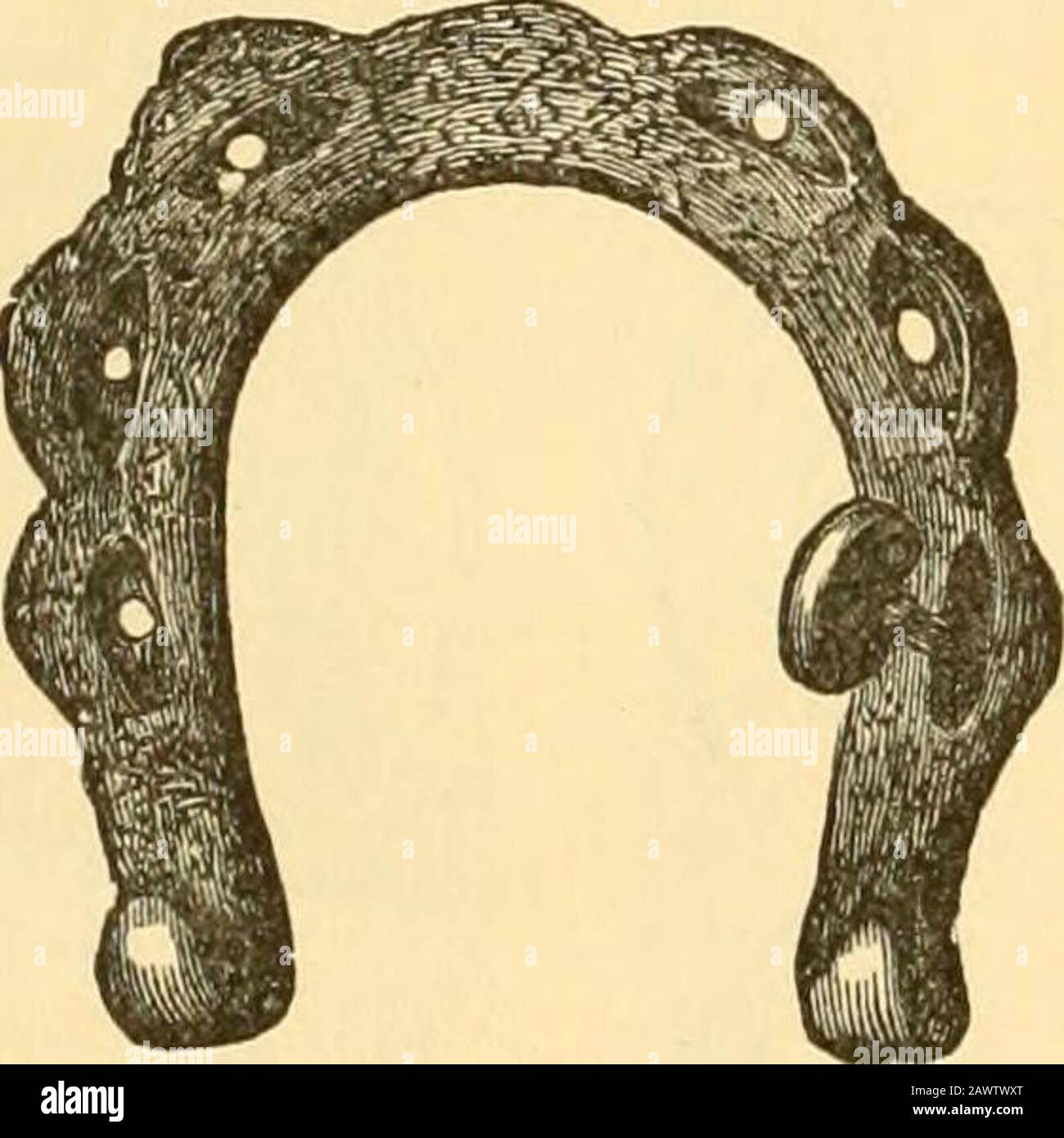 Magner's ABC guide to sensible horseshoeing : a simple and practical ...