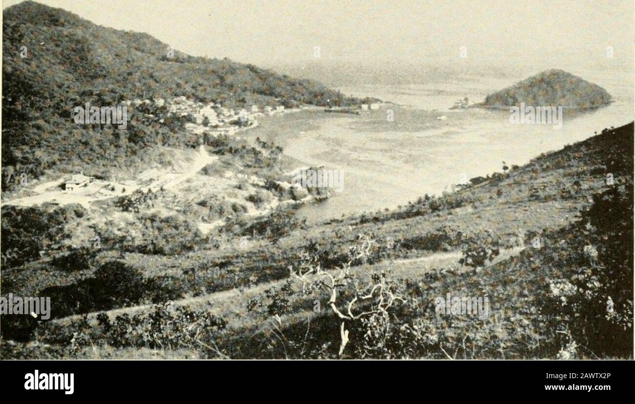 Smithsonian miscellaneous collections . Bull. Mus. Comp. Zool., vol. 63 ...