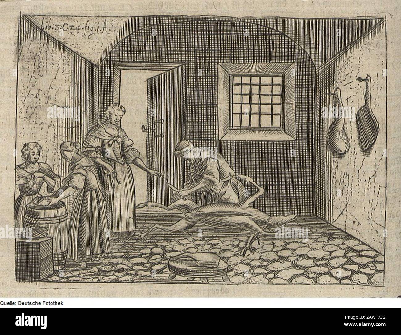 Wildbret hi-res stock photography and images - Alamy