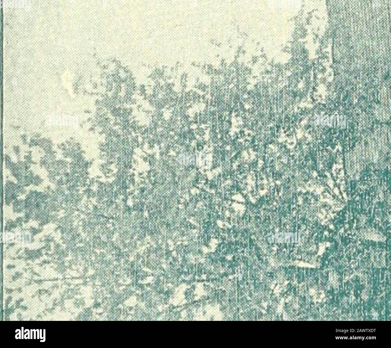 The centennial anniversary of the city of Hamilton, Ohio Stock Photo ...