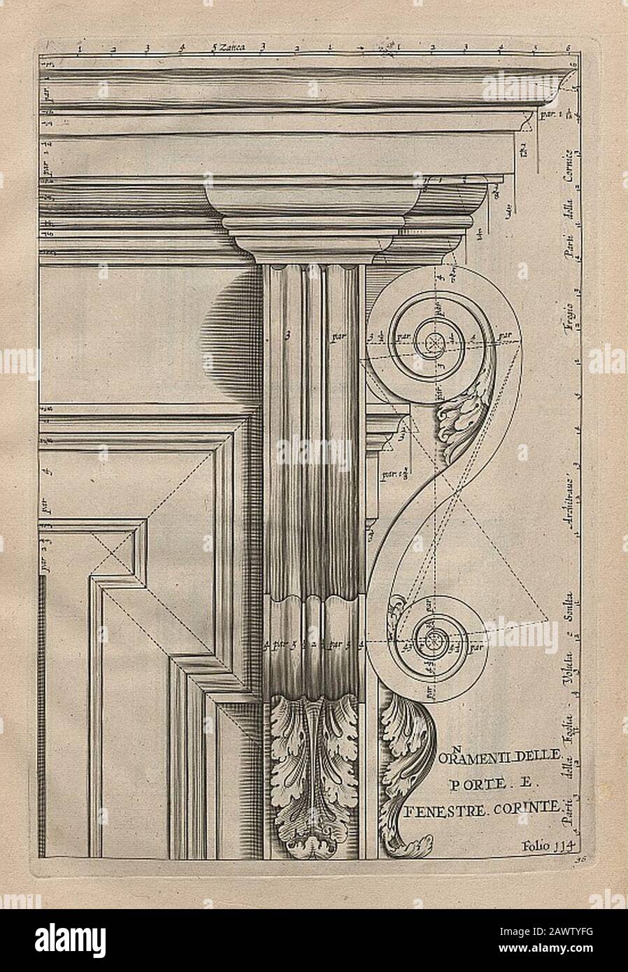 Akanthus hi-res stock photography and images - Alamy