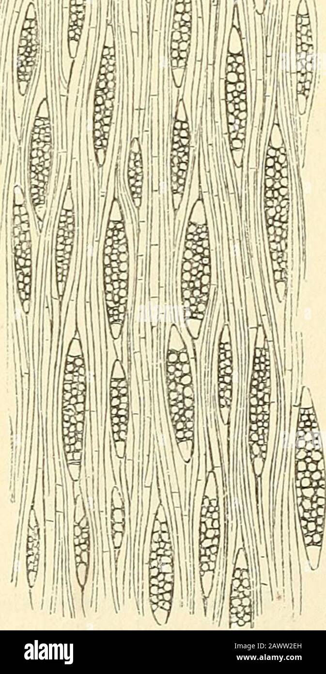 Asection hi-res stock photography and images - Alamy