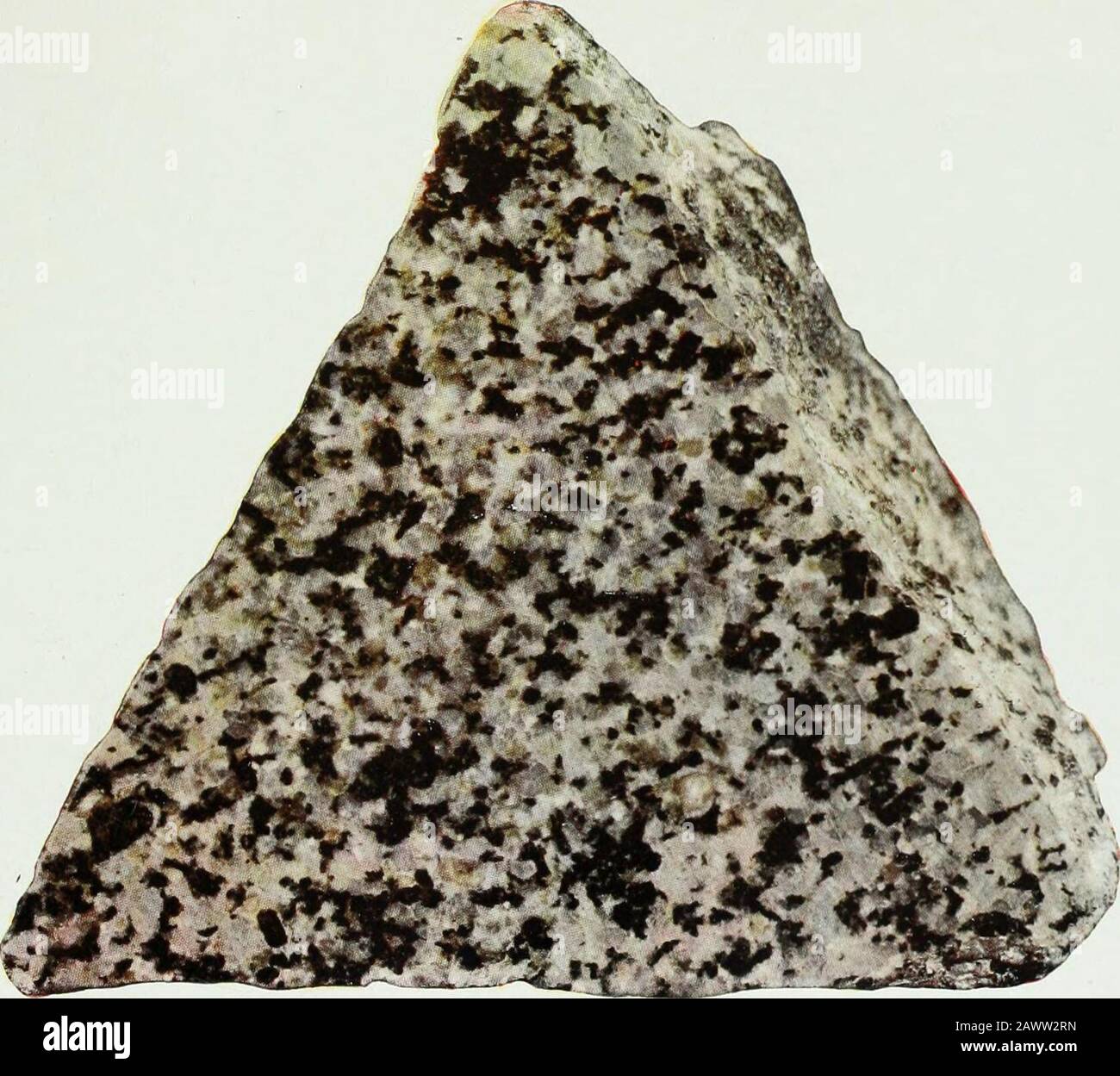 Building and ornamental stones of Australia . GREY GRANITE, YOUNG, N S ...