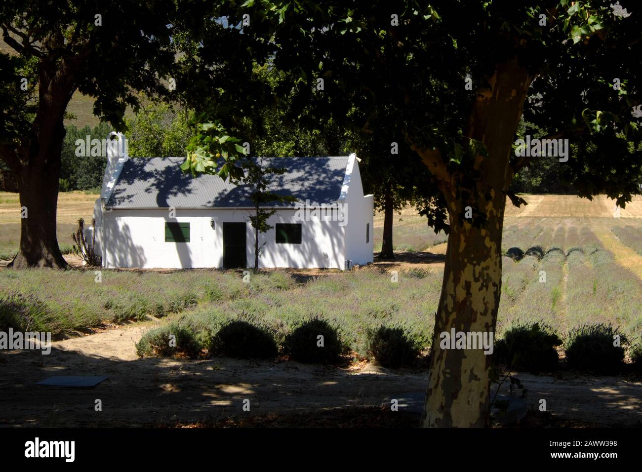 Dutch farm house hi-res stock photography and images - Alamy