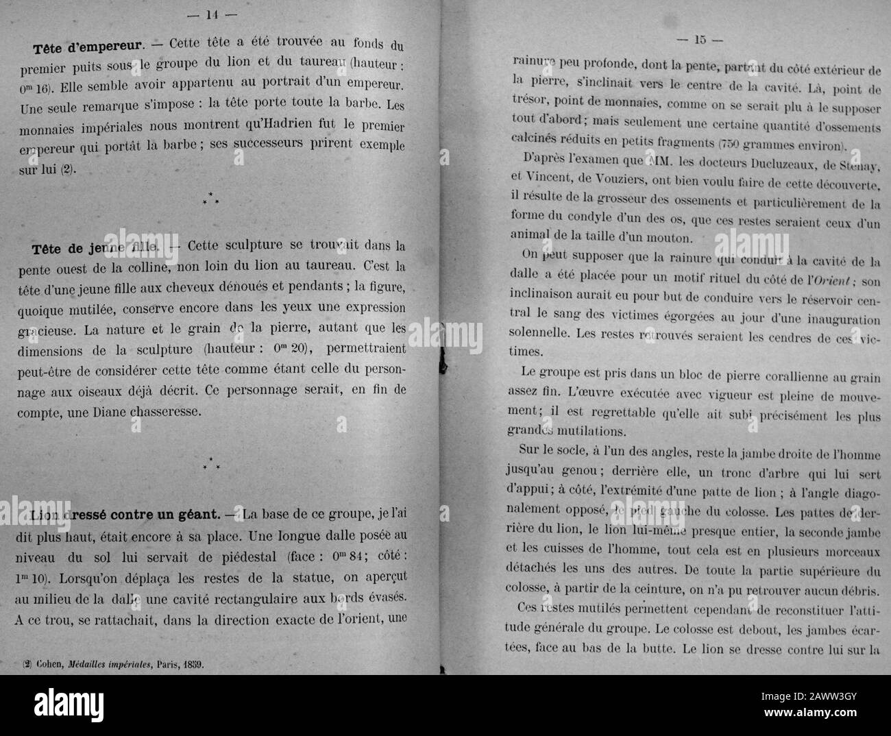 Graffin hi-res stock photography and images - Alamy