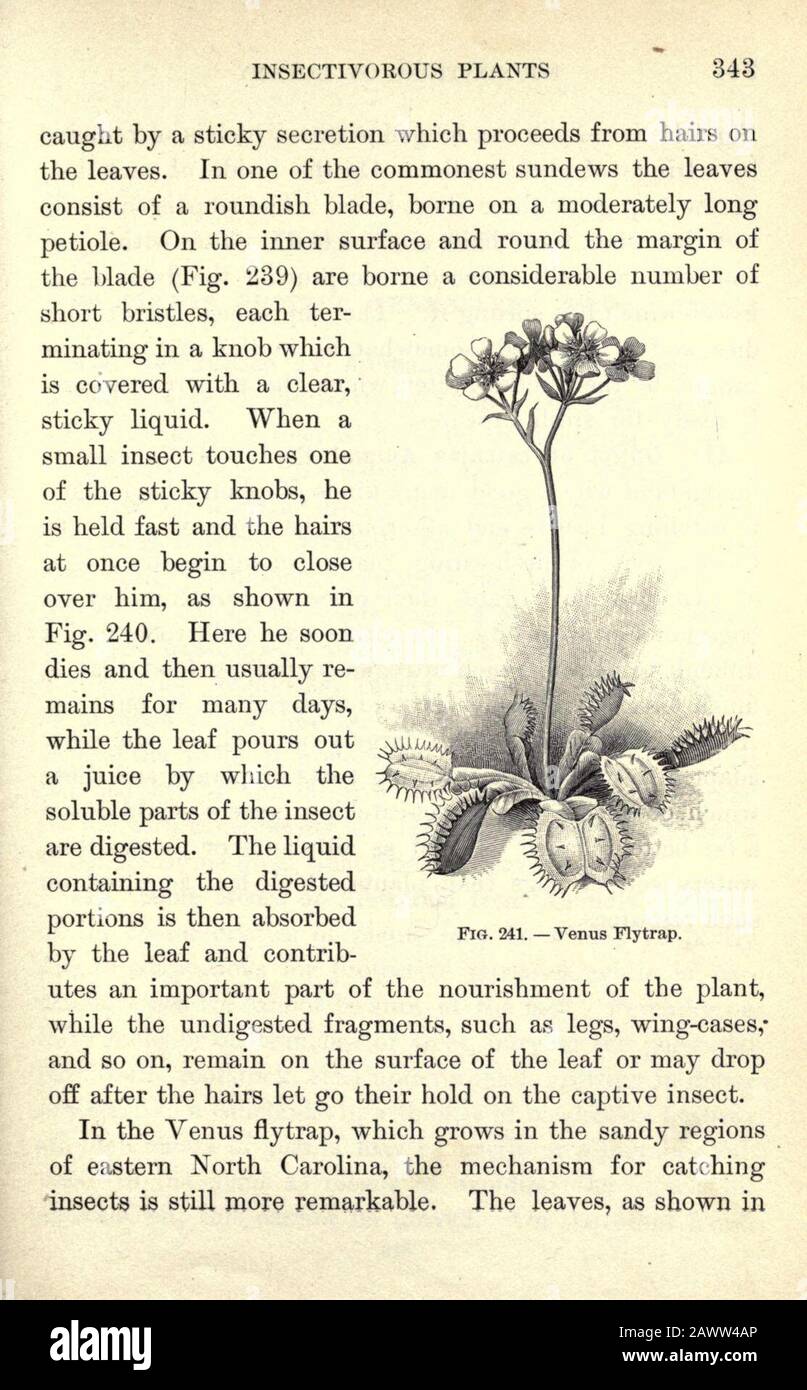 Page 343 hi-res stock photography and images - Alamy