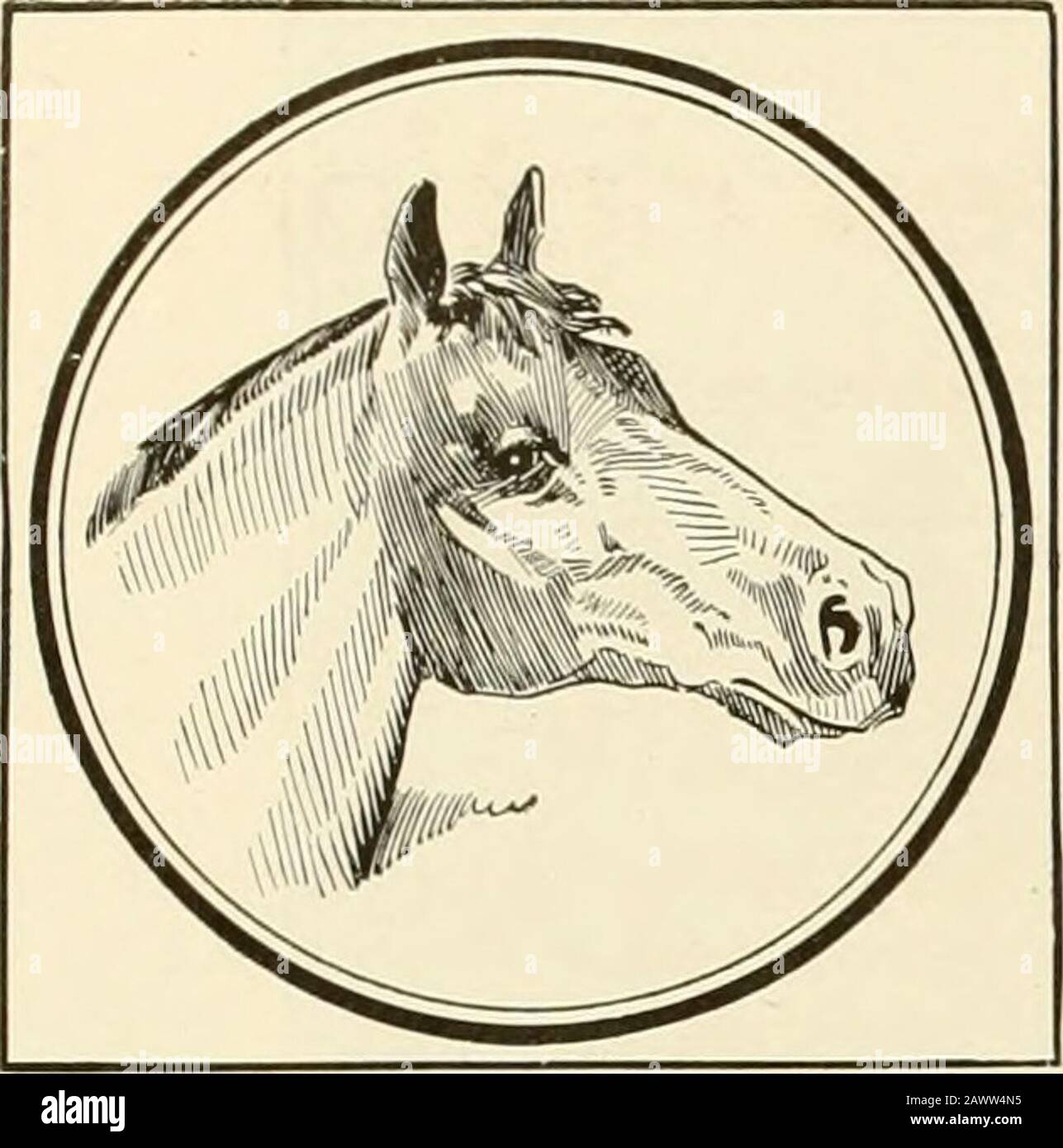 Book of plans / Chicago House Wrecking Co. . Dtobc Vl*j- CHICAGO HOUSE ...