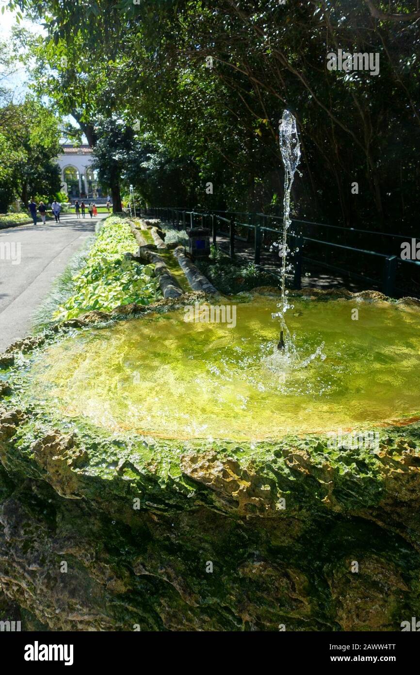 Miami gardens archival hi-res stock photography and images - Alamy