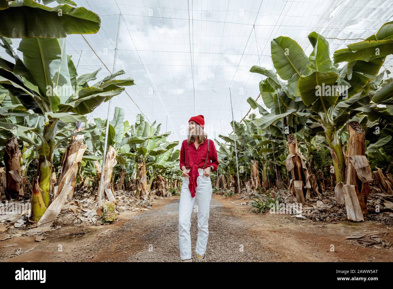 Walking banana hi-res stock photography and images - Alamy