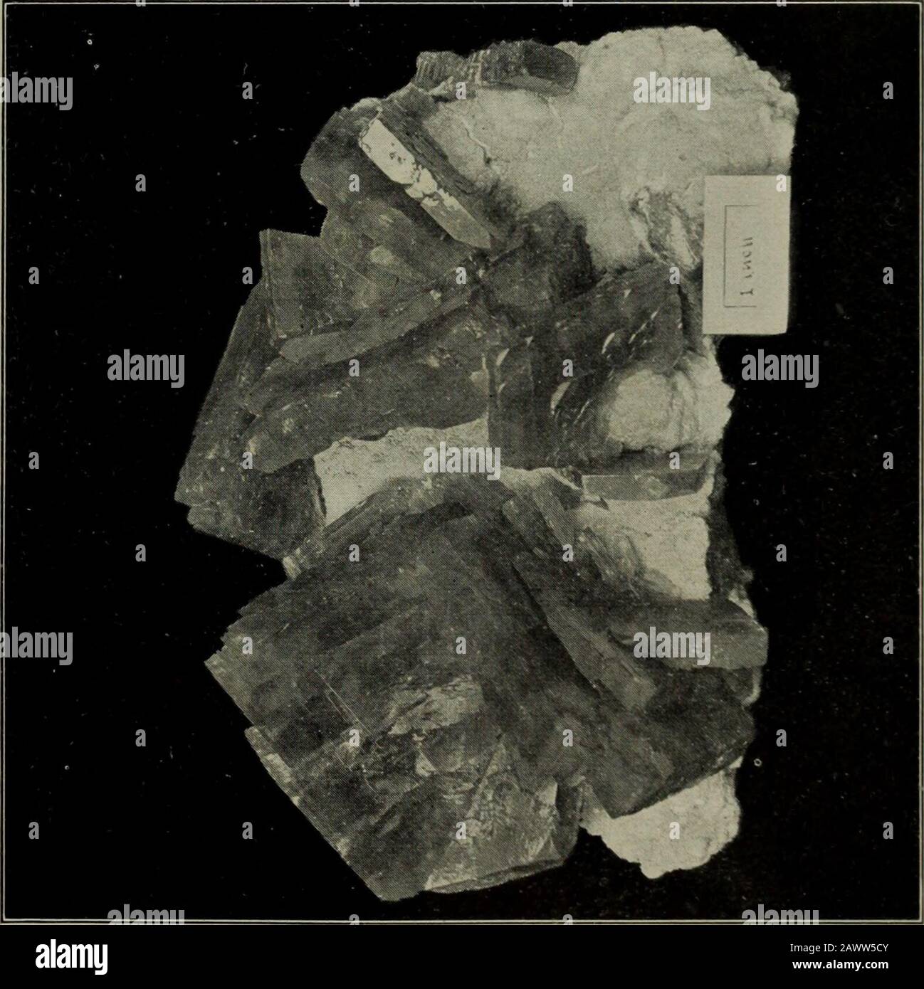 A popular guide to minerals : with chapters on the Bement Collection of ...