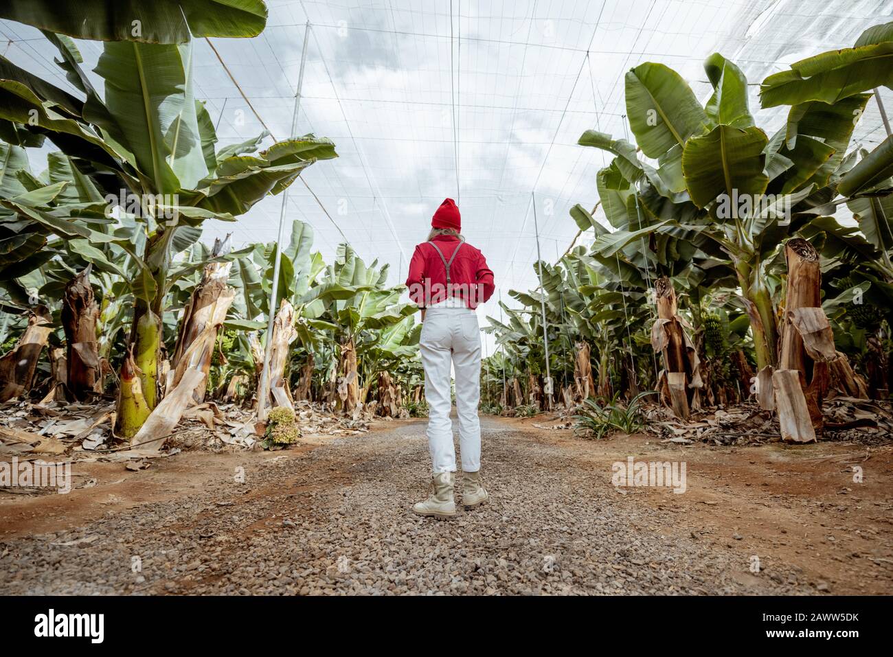 Woman as a tourist or farmer dressed casually in red and white walking ...