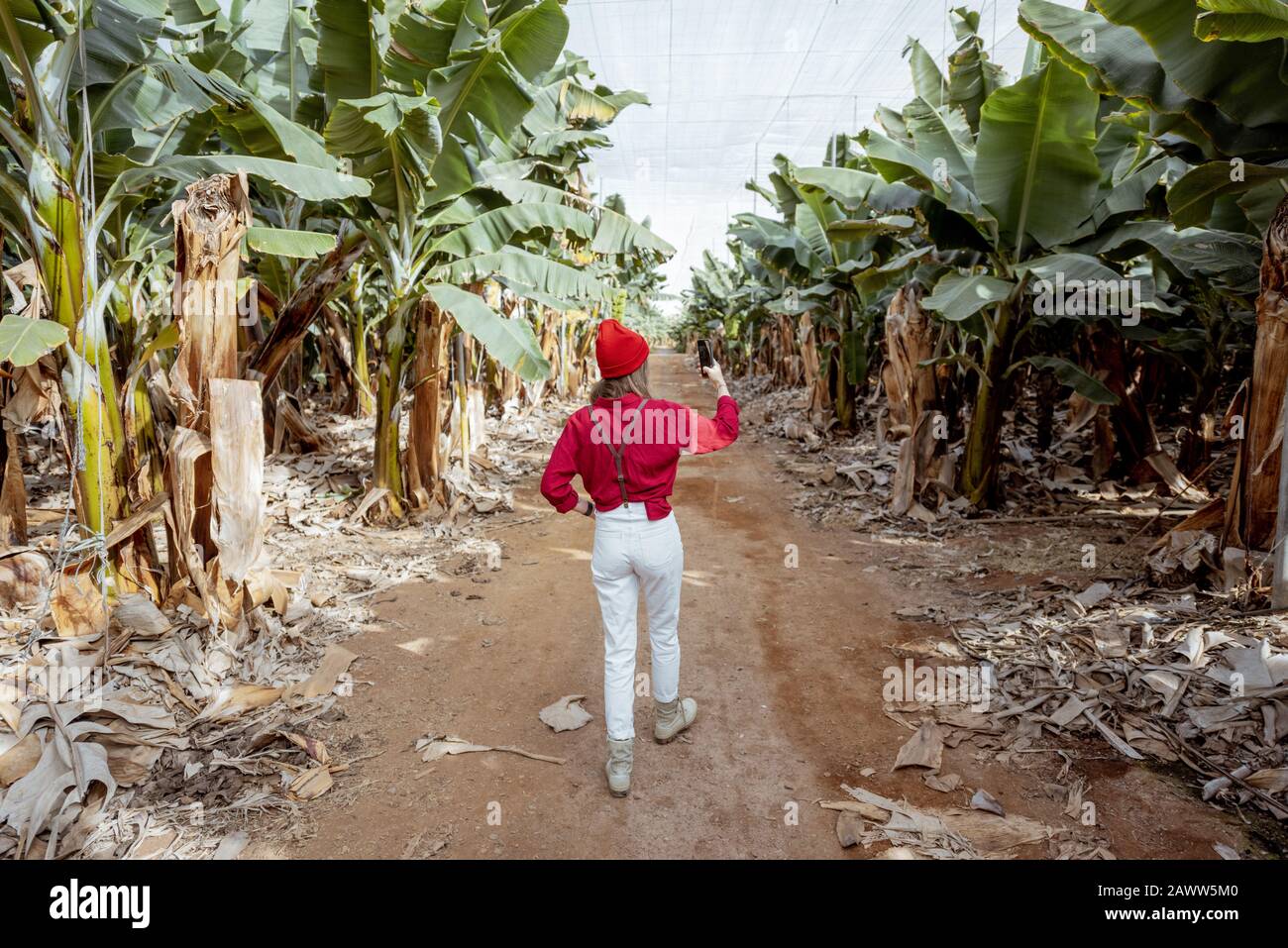 Woman as a tourist or farmer dressed casually in red and white walking ...