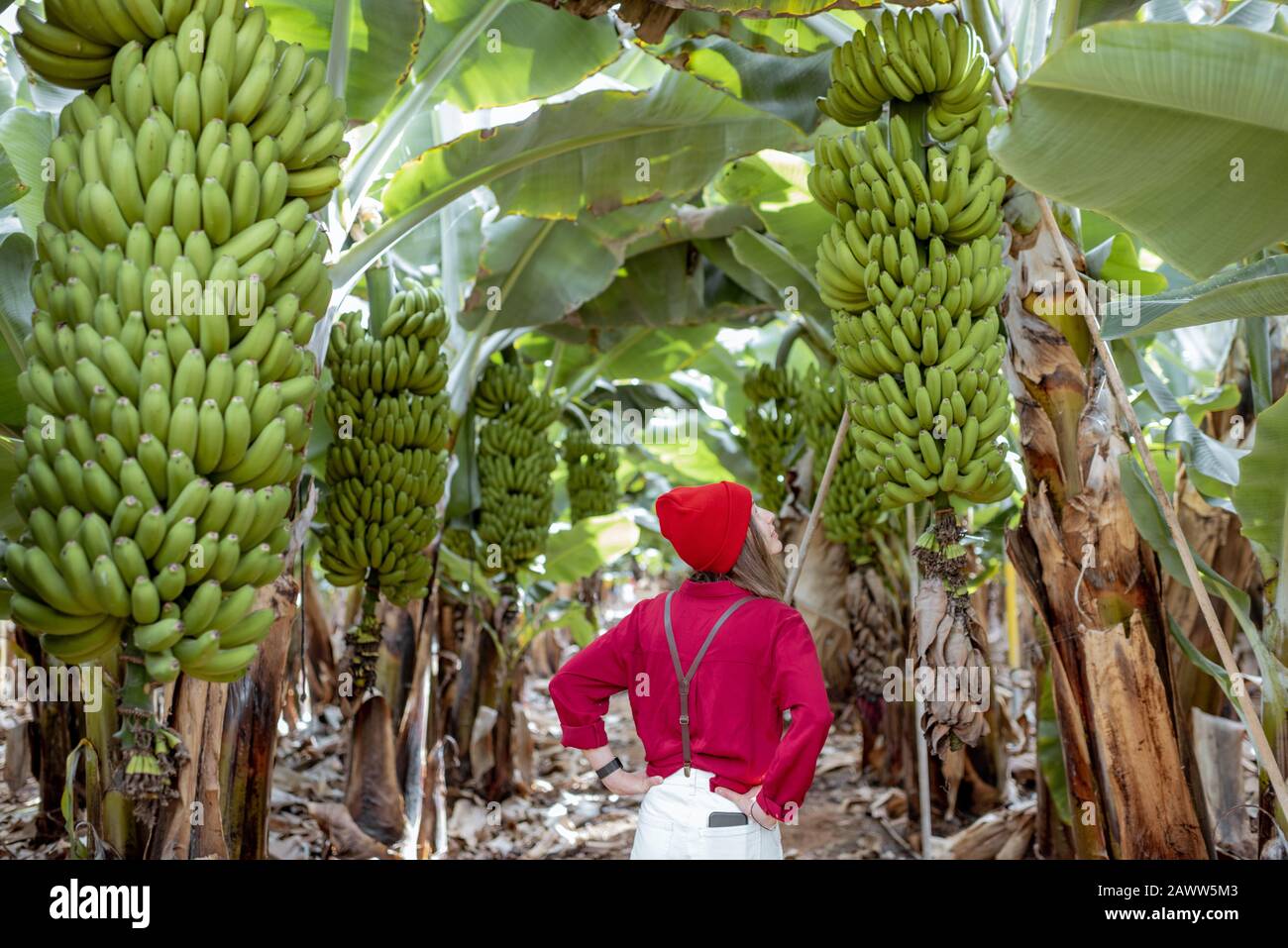 Woman as a tourist or farmer dressed casually in red and white walking ...